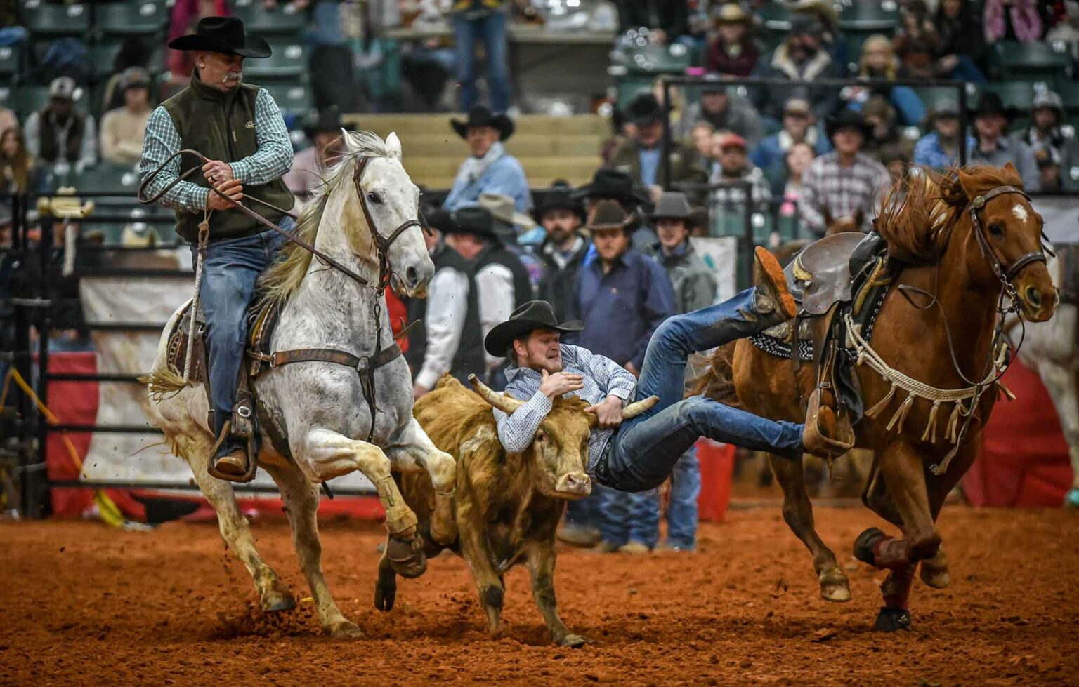 Images from the The Southeastern Professional Rodeo Association’s ...