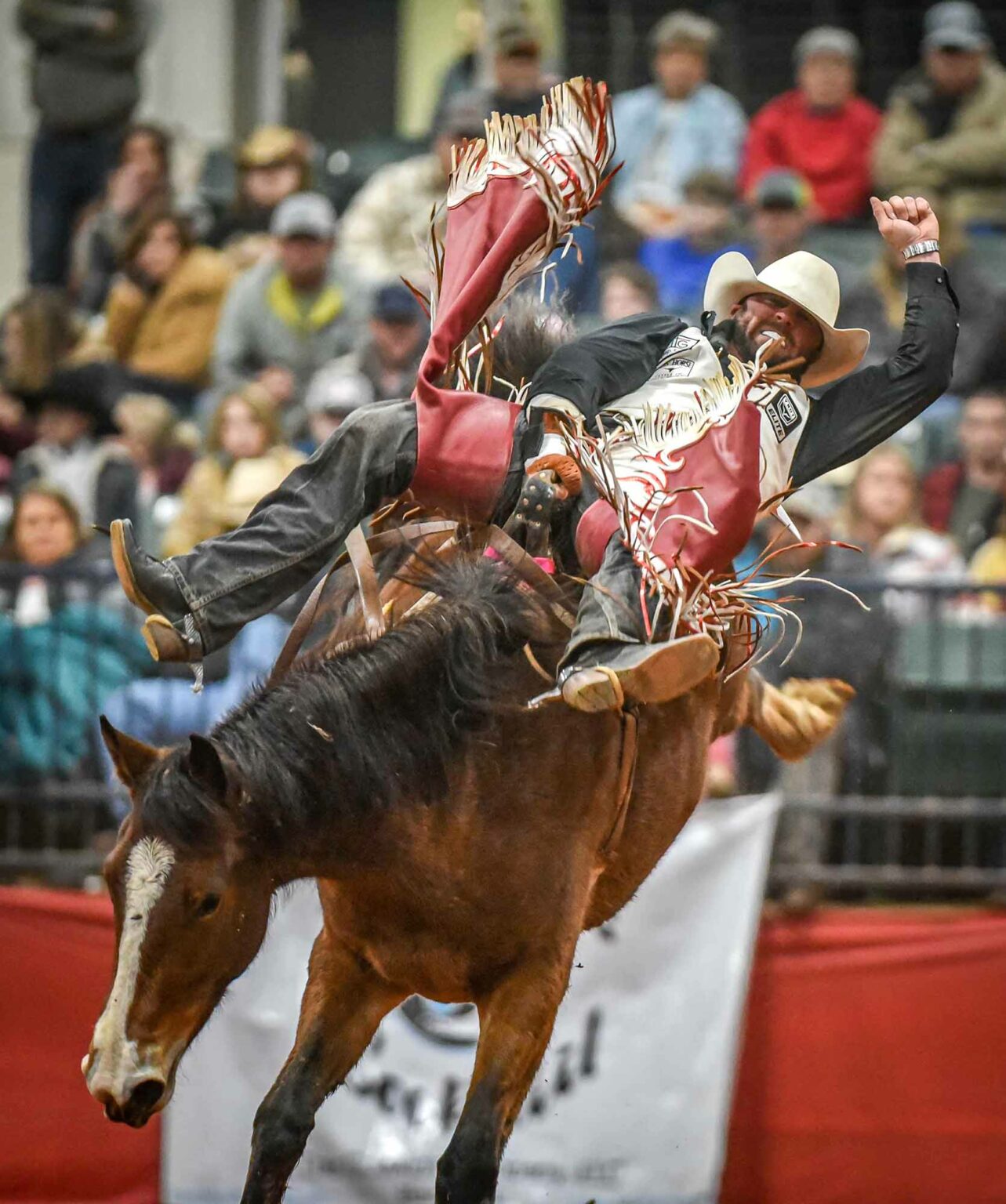 Images from the The Southeastern Professional Rodeo Association’s ...