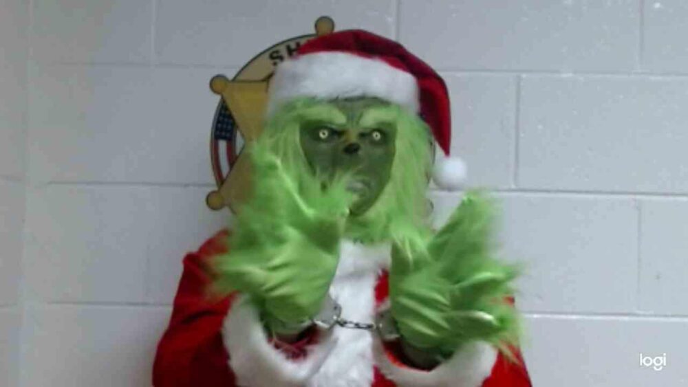 Video: Grinch caught stealing Christmas in Leake County - Kicks96news ...