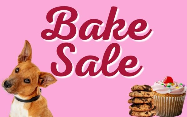 Remo's Rescue to Host Fundraiser Bake Sale - Kicks96news.com - Central ...