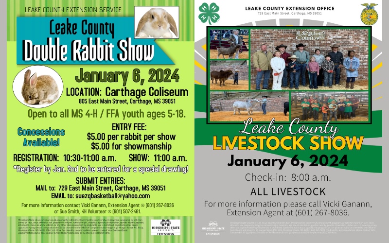 Leake County Livestock & Rabbit Show - Kicks96news.com - Central ...